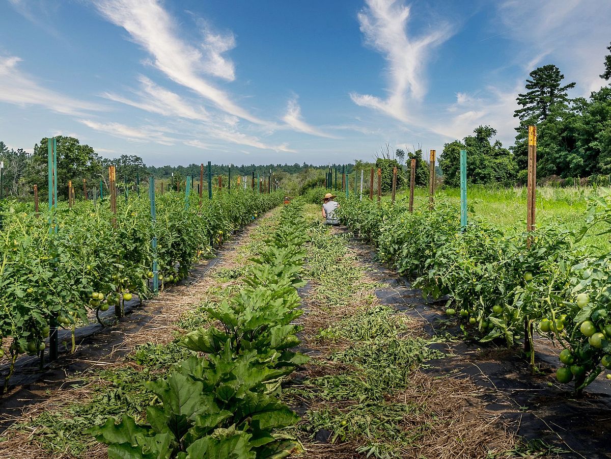 Behind-the-Scenes Tour @ Iron Ox Farm - Greenbelt